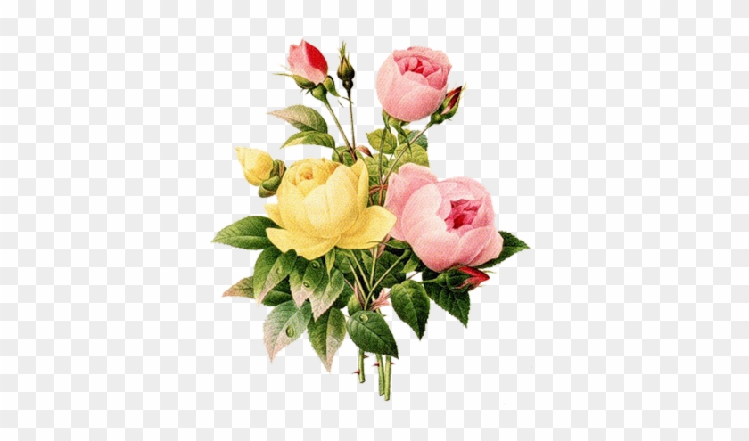 009 - Collected Poems Of Emily Dickinson [book] - Free Transparent PNG ...